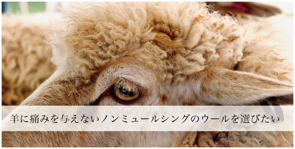 RWS ~Responsible wool standard（レスポンシブル ウール スタンダード）~ – 瀧定名古屋株式会社 11課
